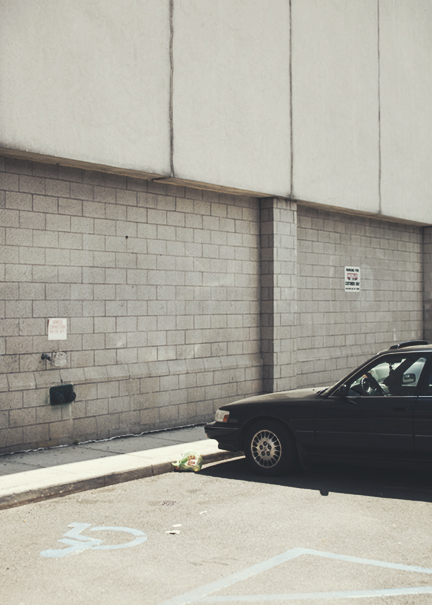 David Bauer Photography